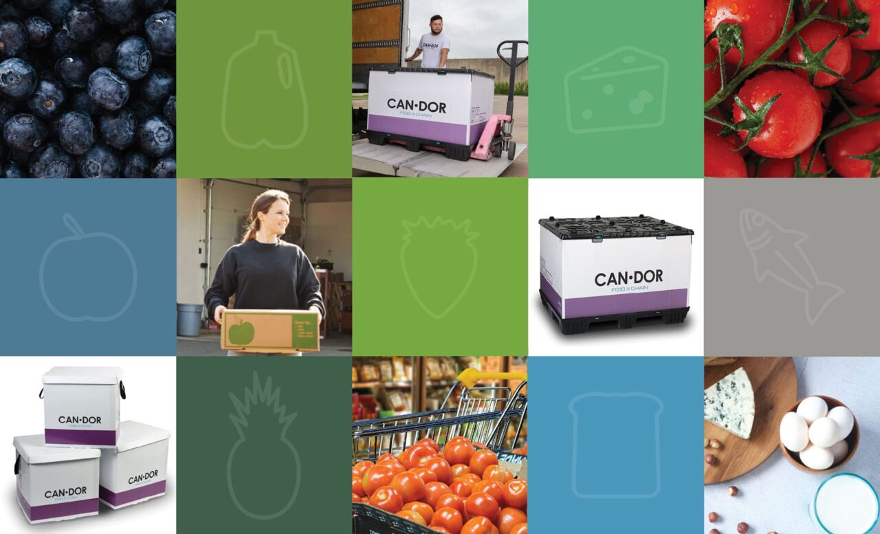 Food Chain - Candor Expedite